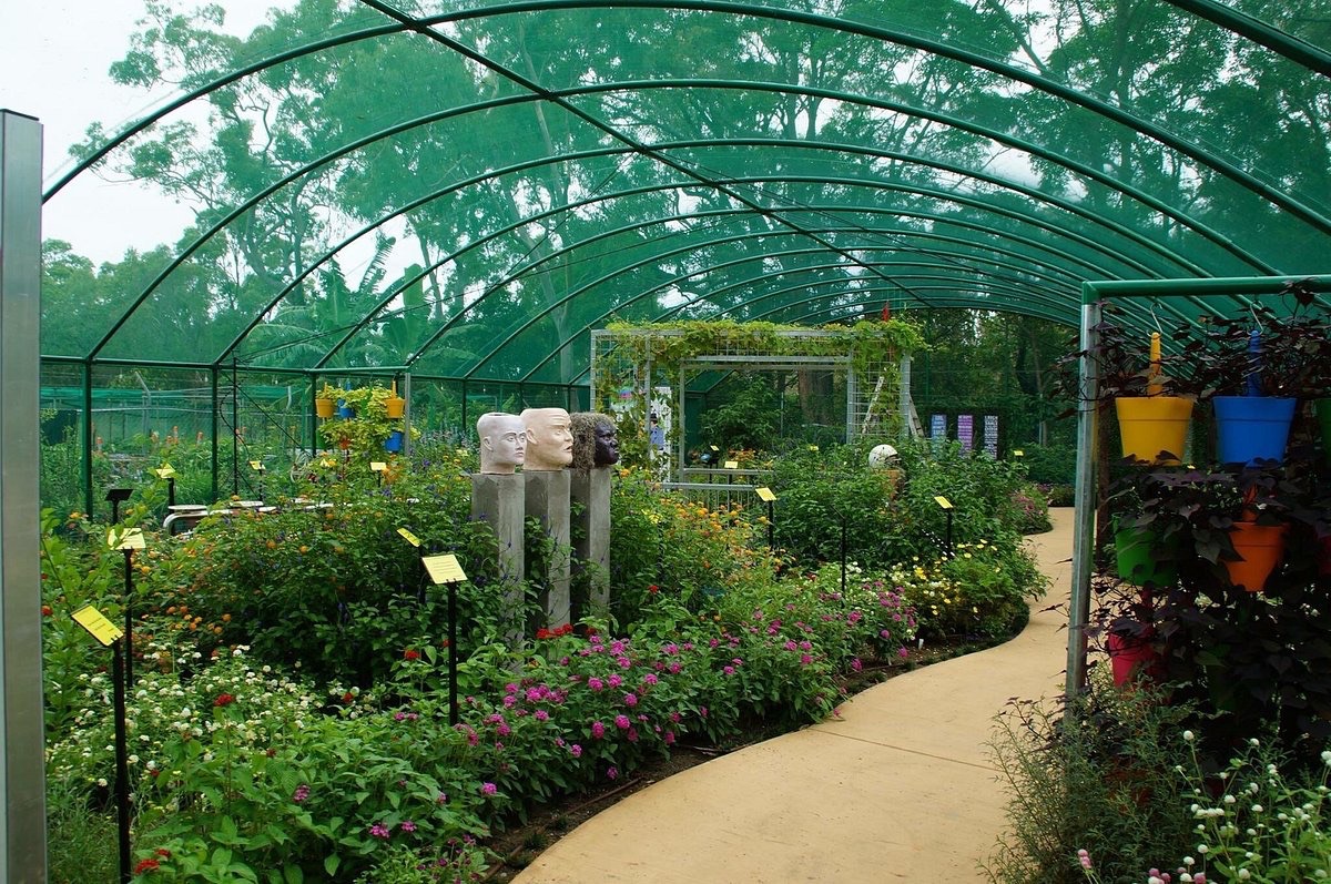 Top 5 Things to Do in Bribie Island